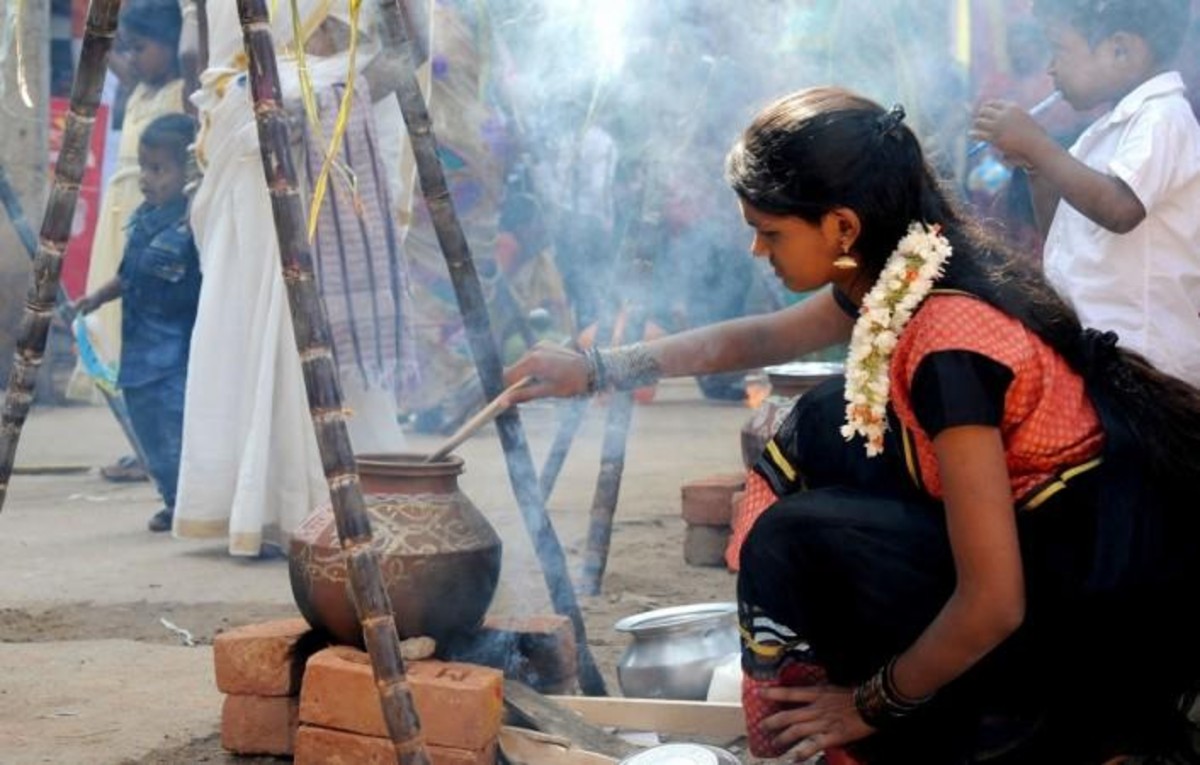 Thai Pongal Festival and Recipes - Subbus Kitchen